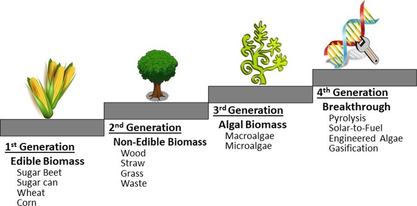 Biofuels Short Note 2023 Licchavi Lyceum Biofuels Short Note 2023 Licchavi Lyceum