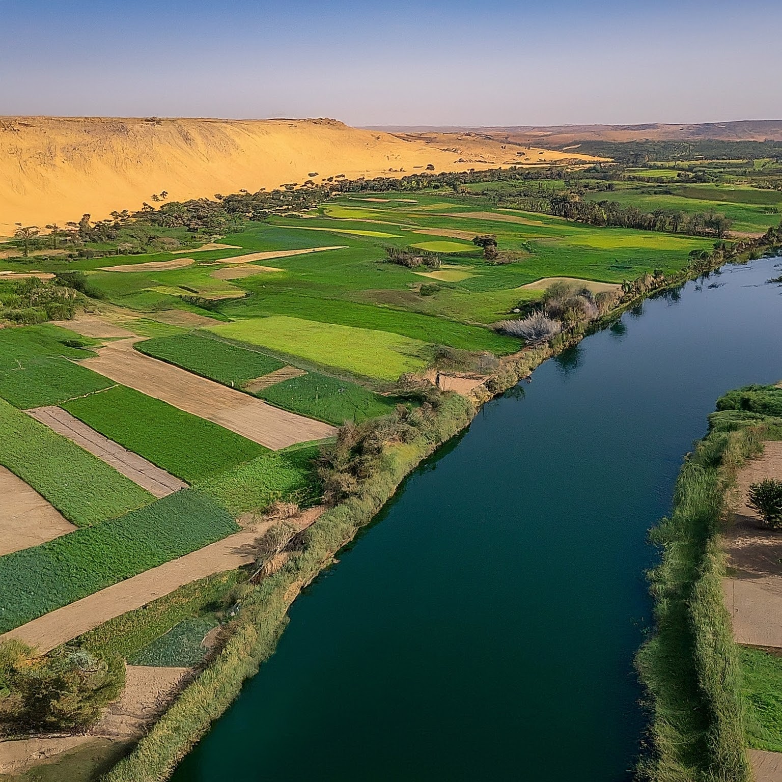 Abyssinian Plateau - Licchavi Lyceum