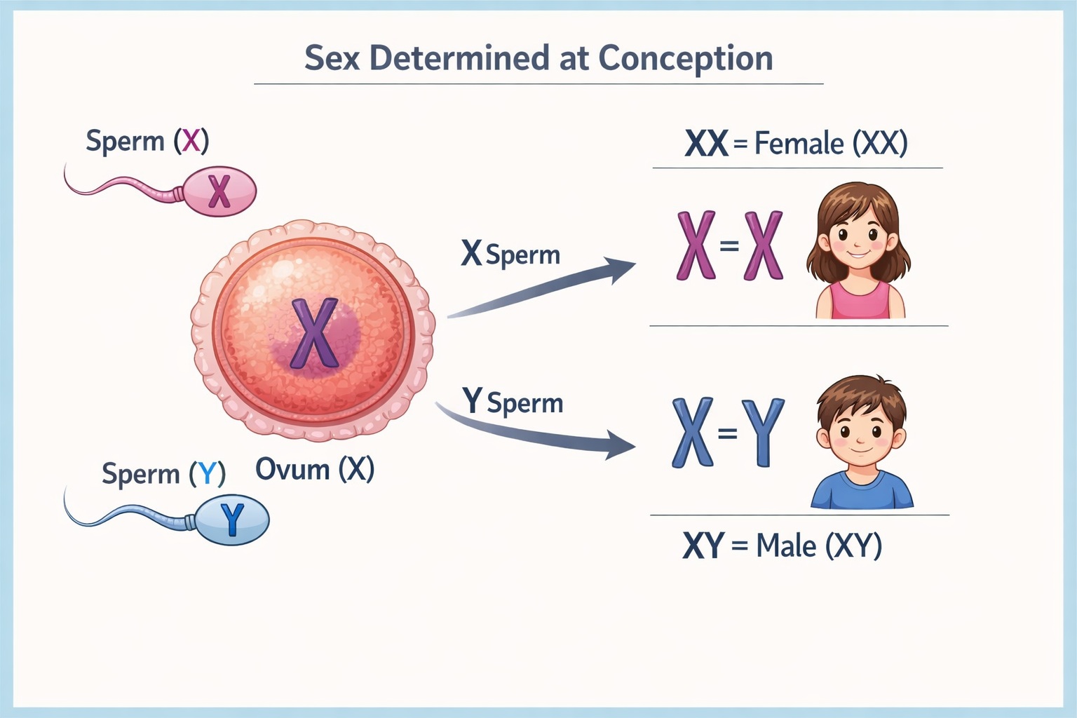 UPSC Prelims PYQ | Reproduction System - Licchavi Lyceum